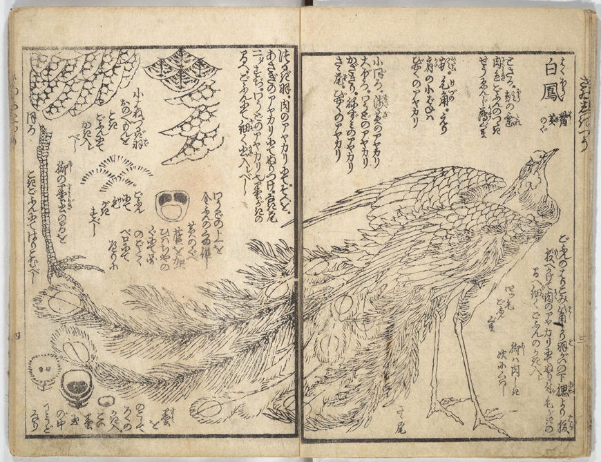 Smarthistory – Hokusai’s printed illustrated books