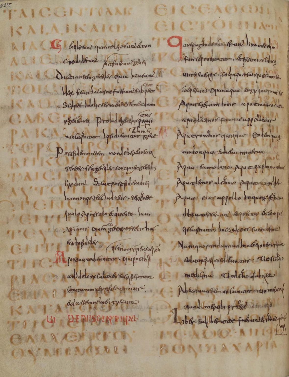 Smarthistory – Skins and scraps