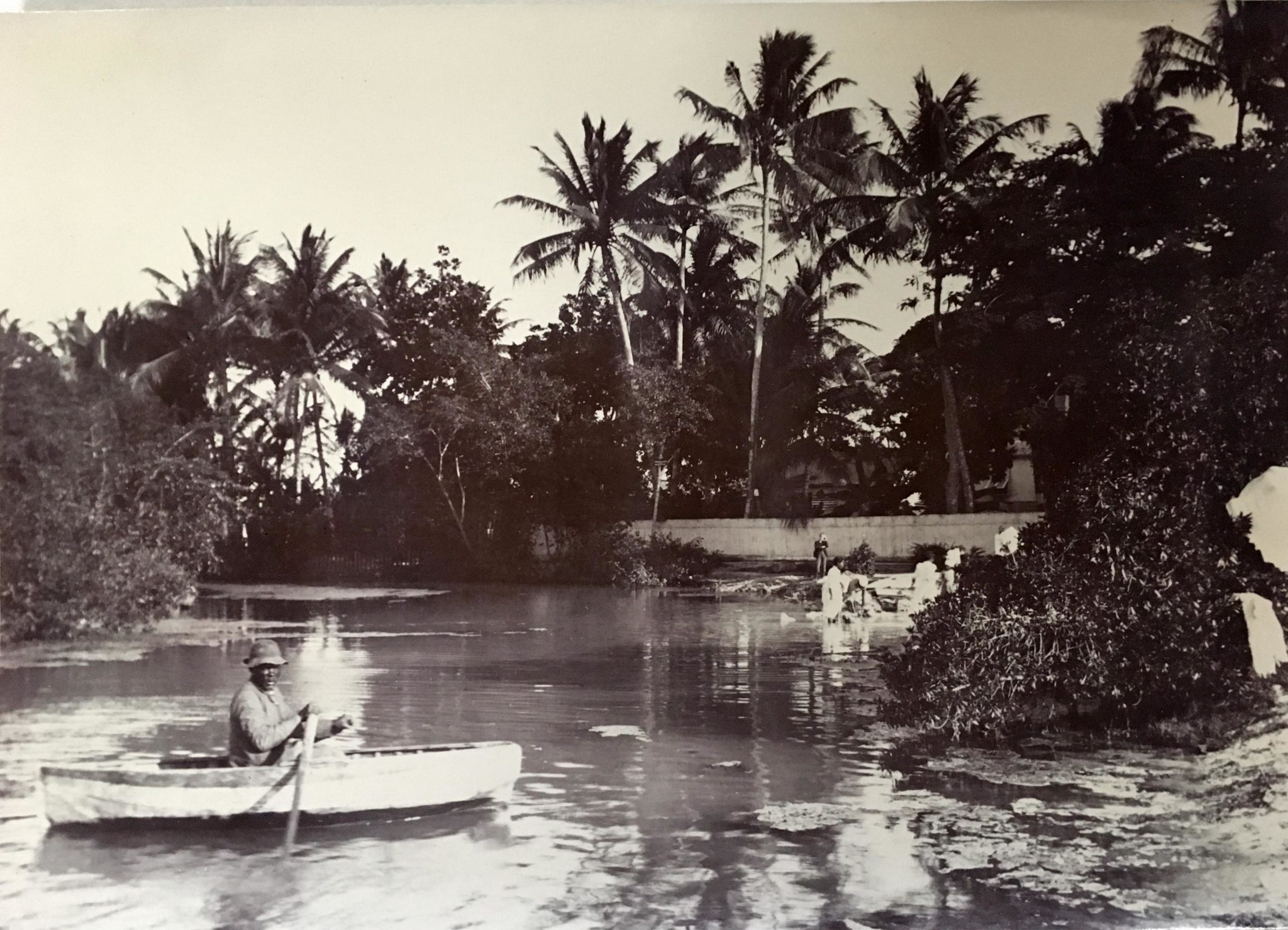 13.5.3: Frances Jones (Bannerman), In the Conservatory - Humanities ...