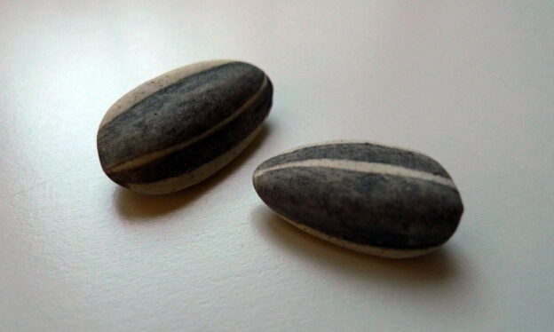 Smarthistory – Ai Weiwei, Kui Hua Zi (Sunflower Seeds)