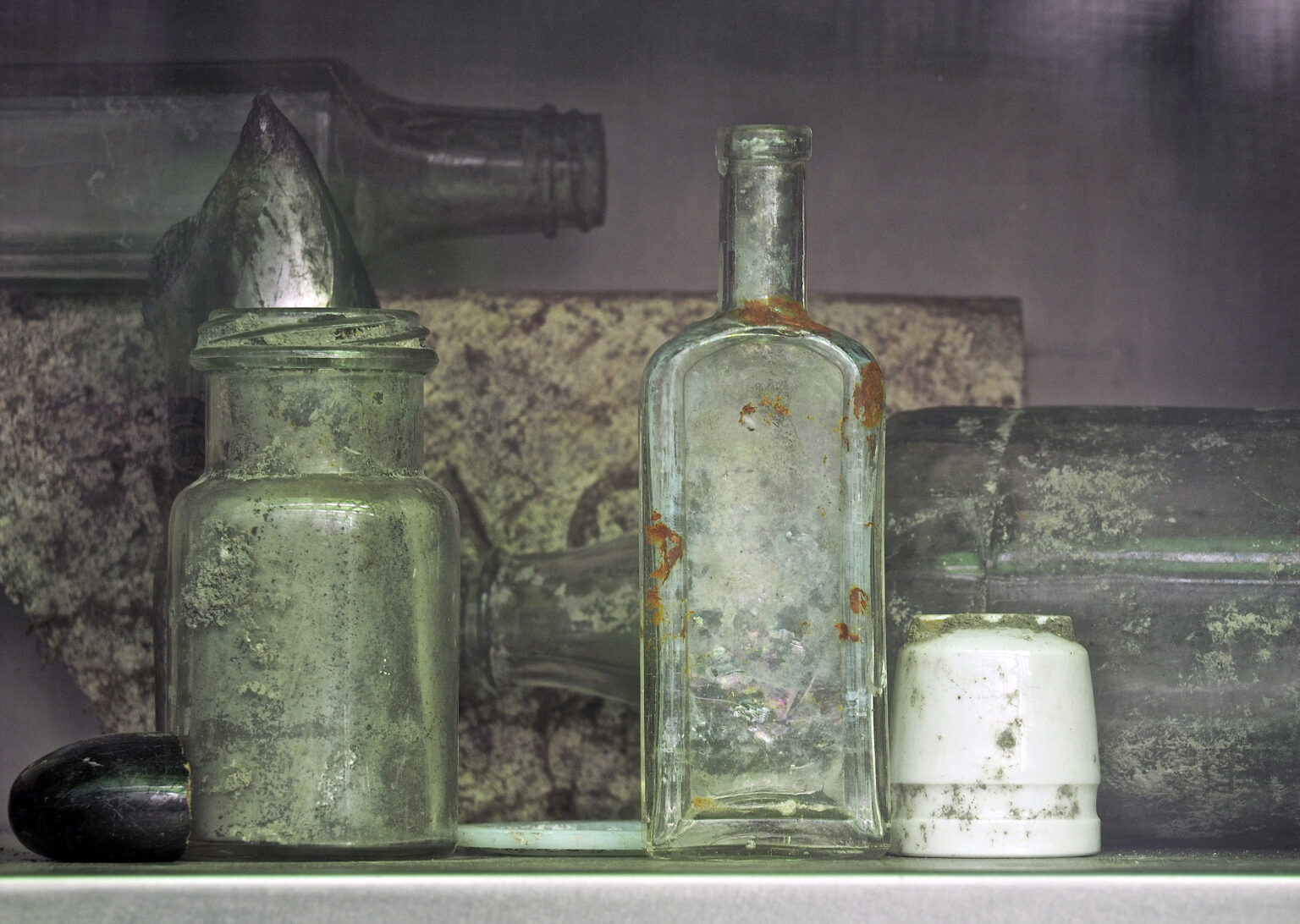 Smarthistory – Mark Dion, Neukom Vivarium