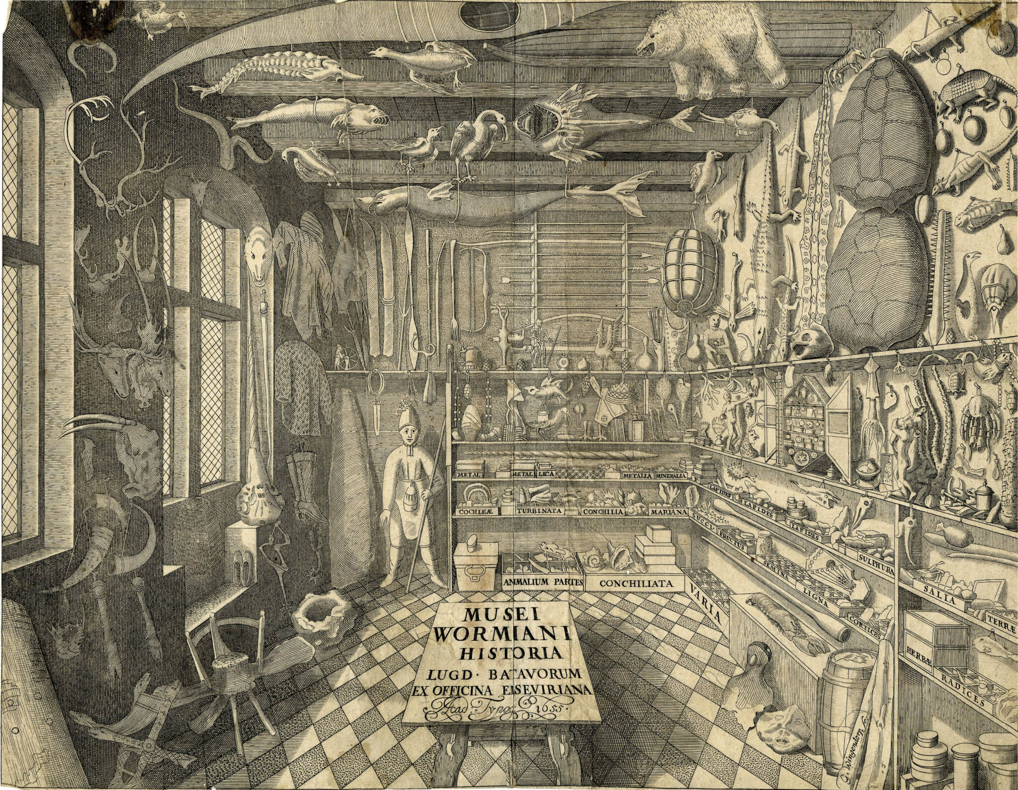 Smarthistory – Ole Worm, Museum Wormianum