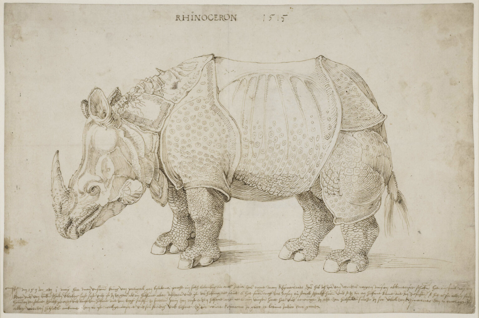 Smarthistory – Dürer’s Rhinoceros: art, science, and the Northern ...