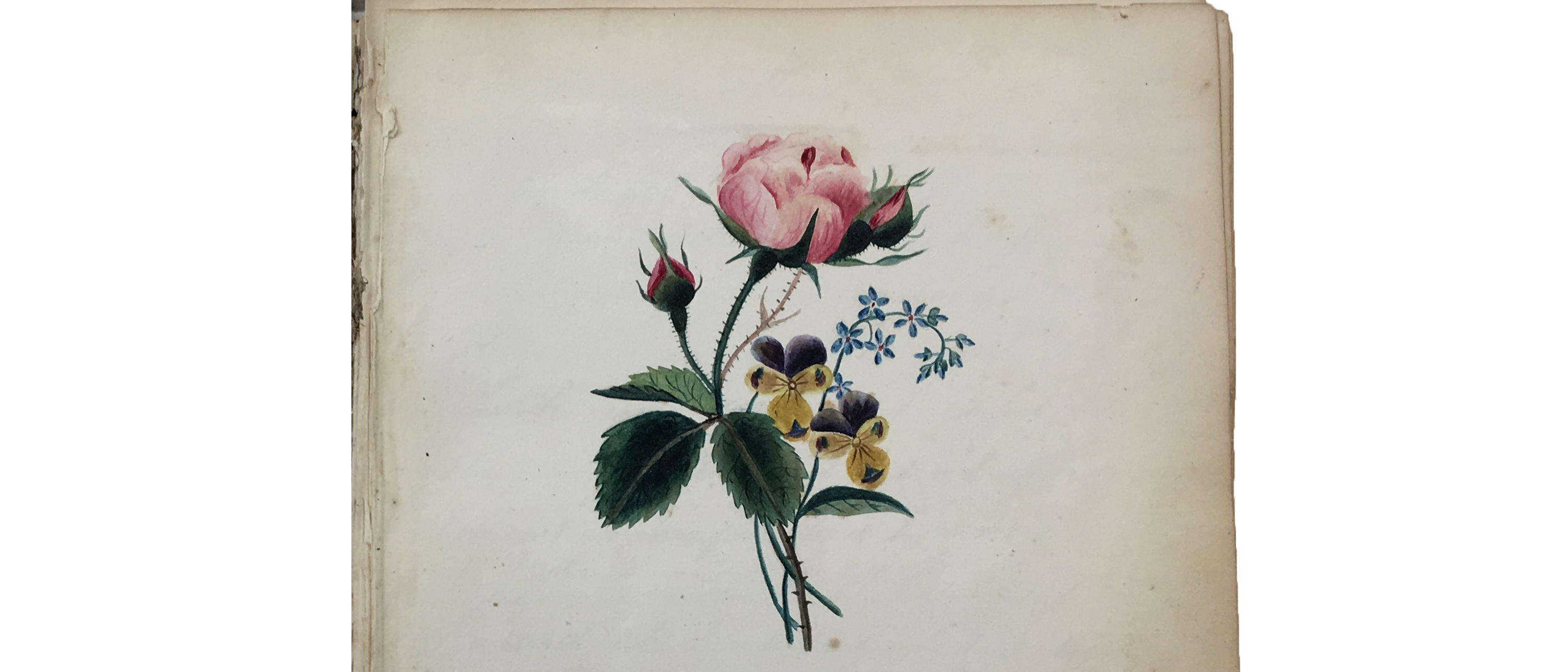 Smarthistory – Sarah Mapps Douglass